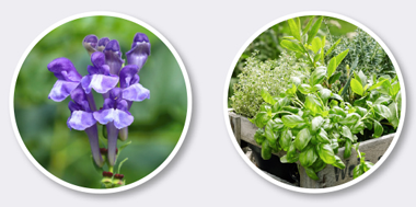 O produktu | REVMABLOK AKUT